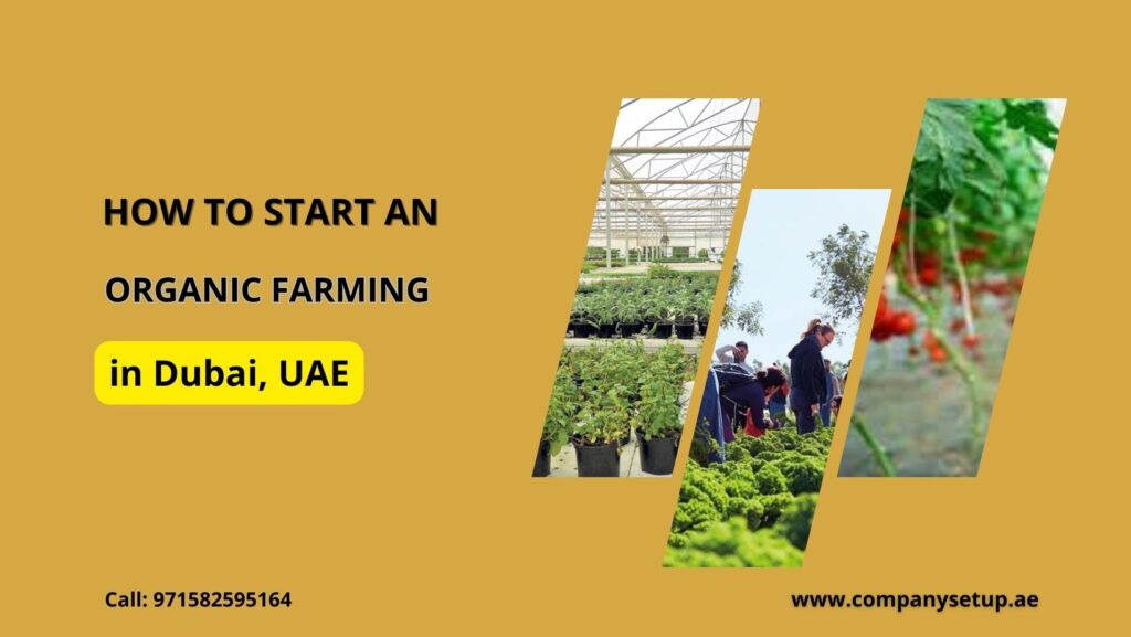 How to Start an Organic Farming in Dubai, UAE? Company Setup